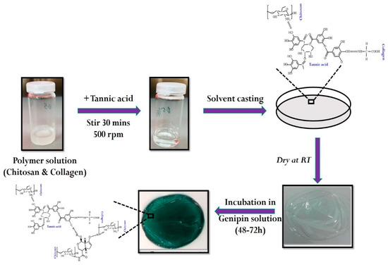 Dual Crosslinked Collagen/Chitosan Film for Potential Biomedical ...