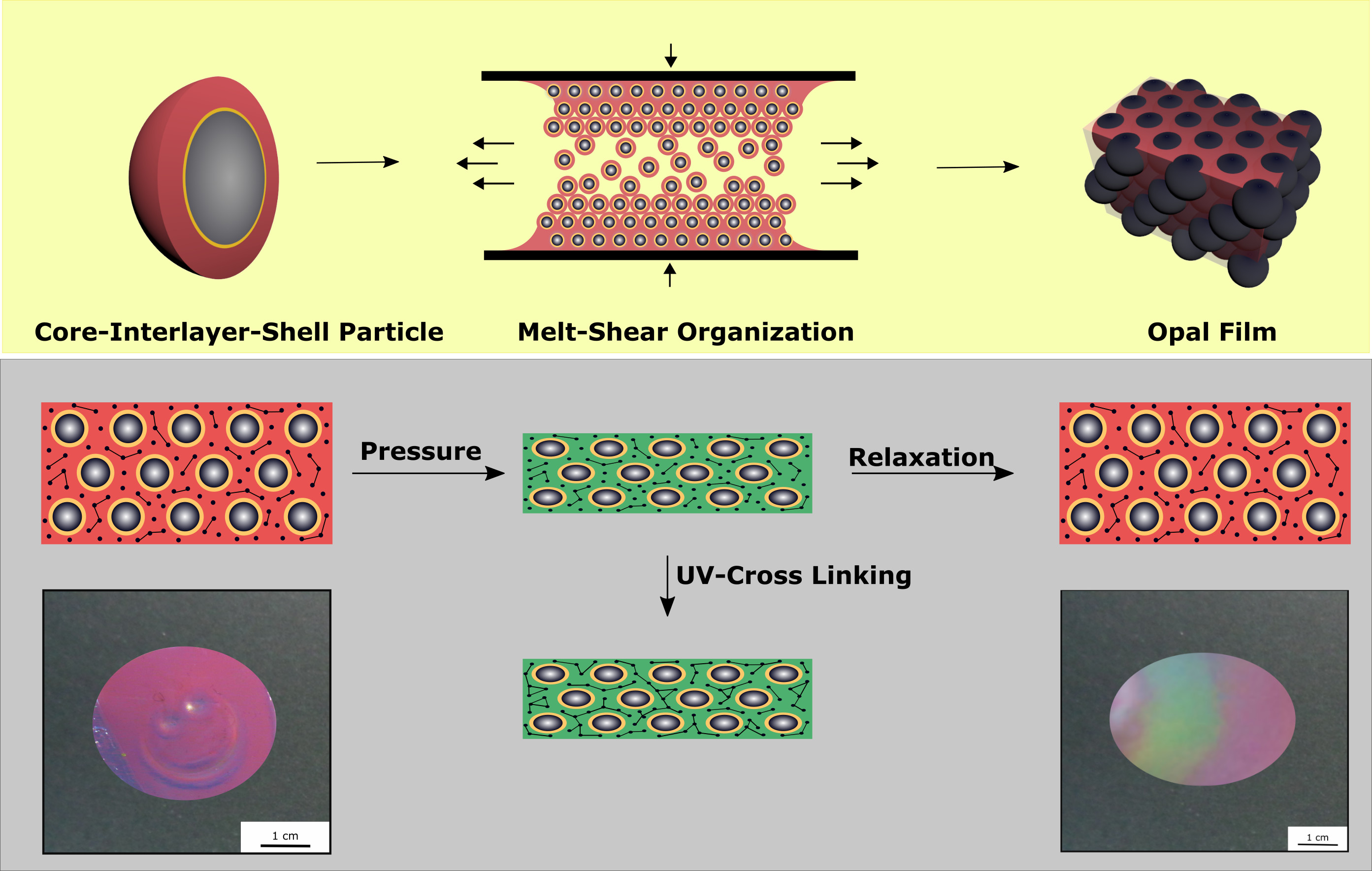 Polymers | Free Full-Text | Compression-Responsive Photonic Crystals ...