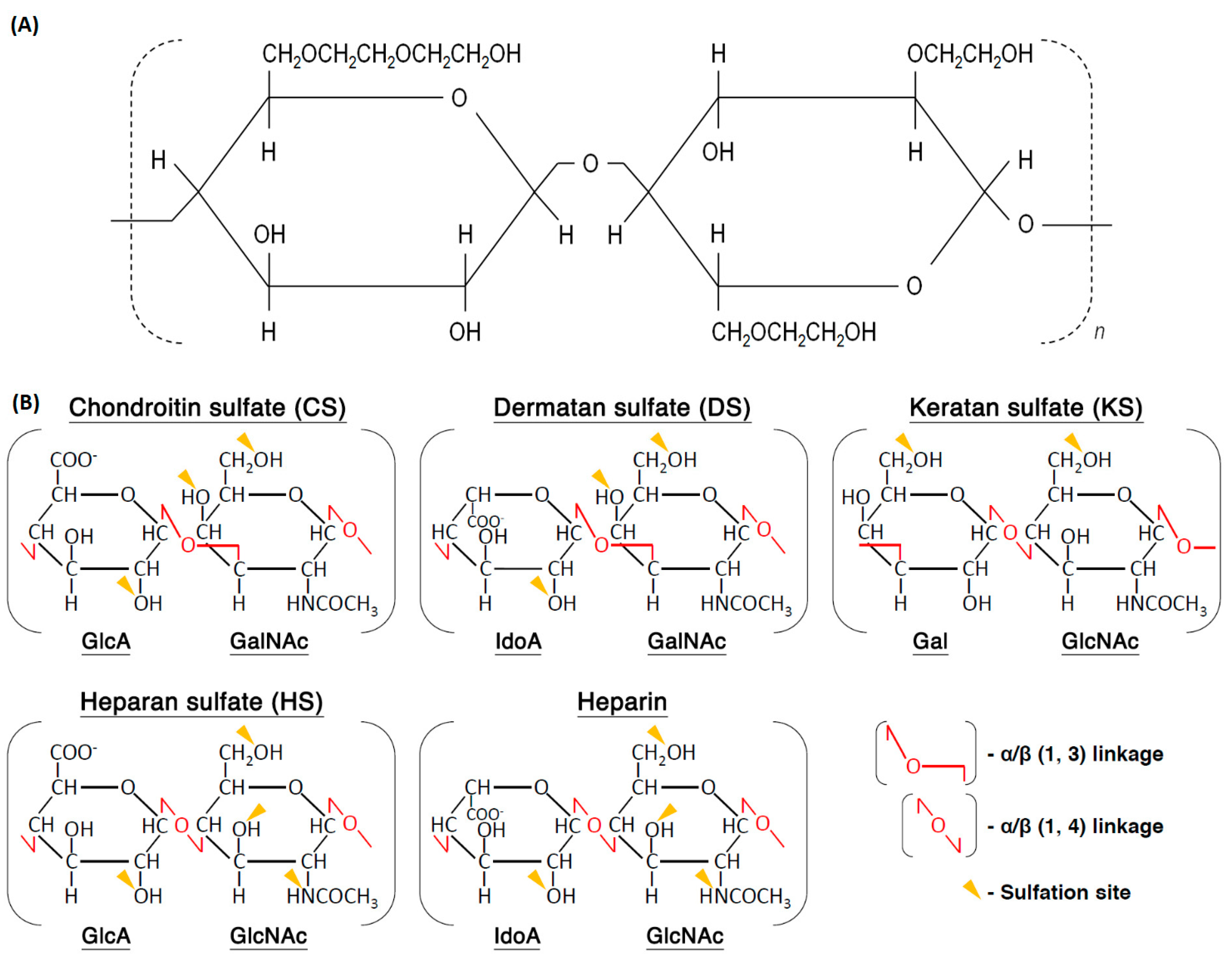 Polymers | Free Full-Text | Poly(Vinyl Alcohol)-Based Nanofibrous ...