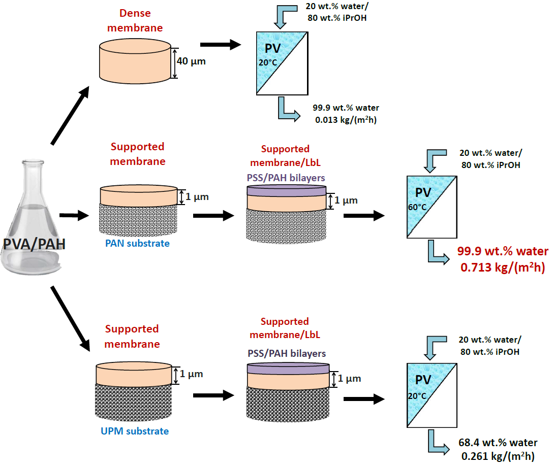 Polymers | Free Full-Text | Enhanced Pervaporation Properties of PVA ...