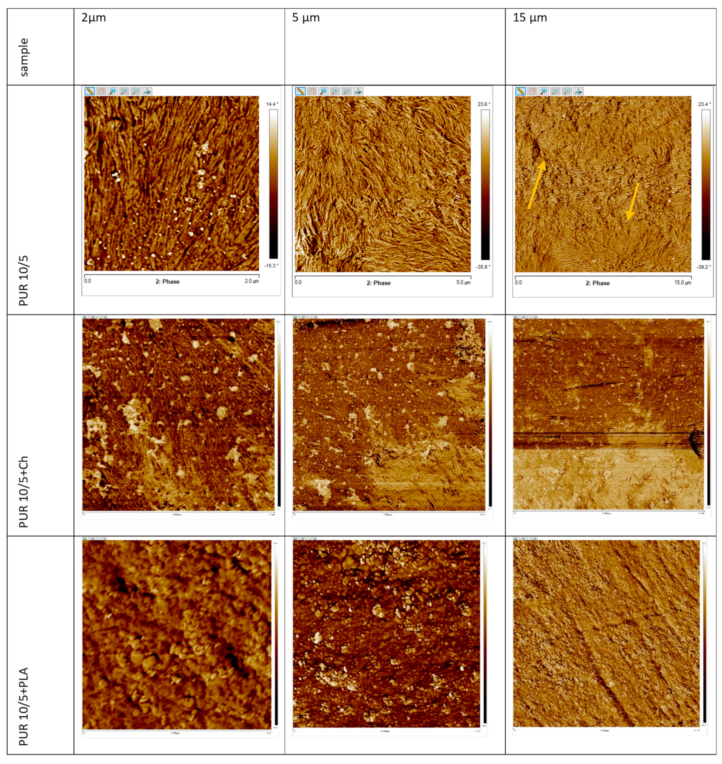 Morphology and Physicochemical Properties of Branched Polyurethane ...