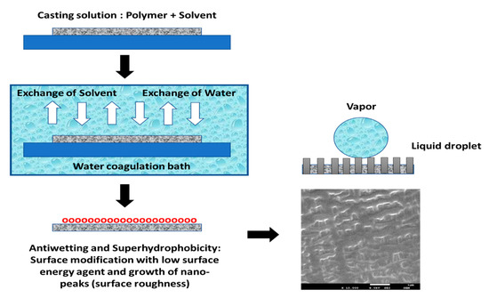 Polymers | Special Issue : Advances in Polymeric Membranes