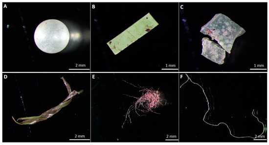 Keratin Associations with Synthetic, Biosynthetic and Natural Polymers ...