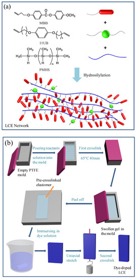 Photo-Actuation of Liquid Crystalline Elastomer Materials Doped with ...