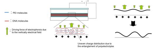 Polymers | Special Issue : Polyelectrolyte Complexes in Polymer Science ...