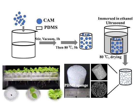 Polymers | Free Full-Text | Hydrophilic Porous Polydimethysiloxane ...