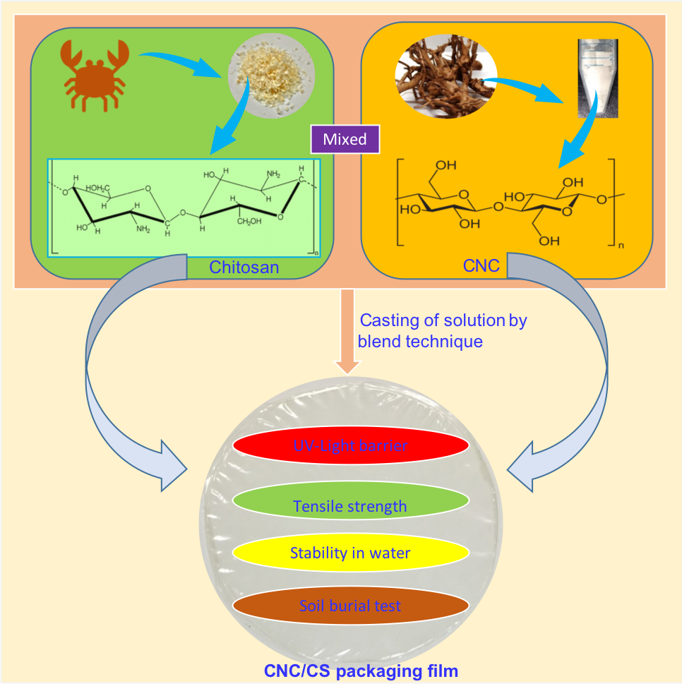 Polymers | Free Full-Text | Cellulose Nanocrystal Reinforced Chitosan ...