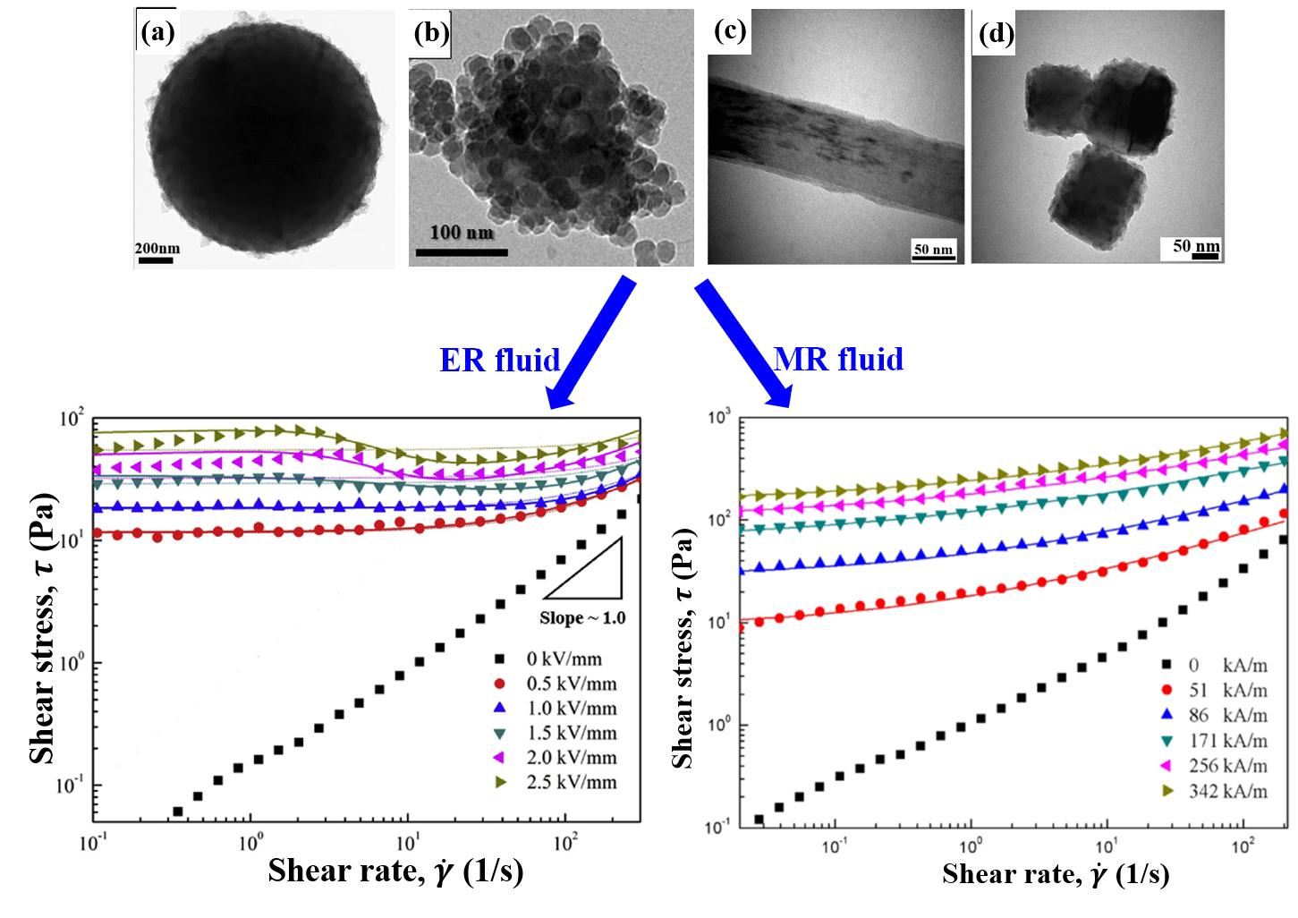 Polymers | Free Full-Text | Nanoparticles Functionalized by Conducting ...