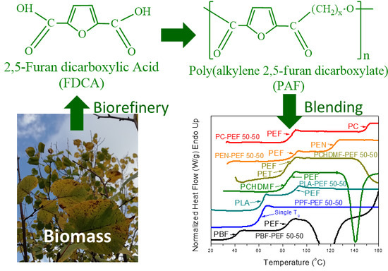Polymers | Free Full-Text | Sustainable Plastics from Biomass: Blends ...
