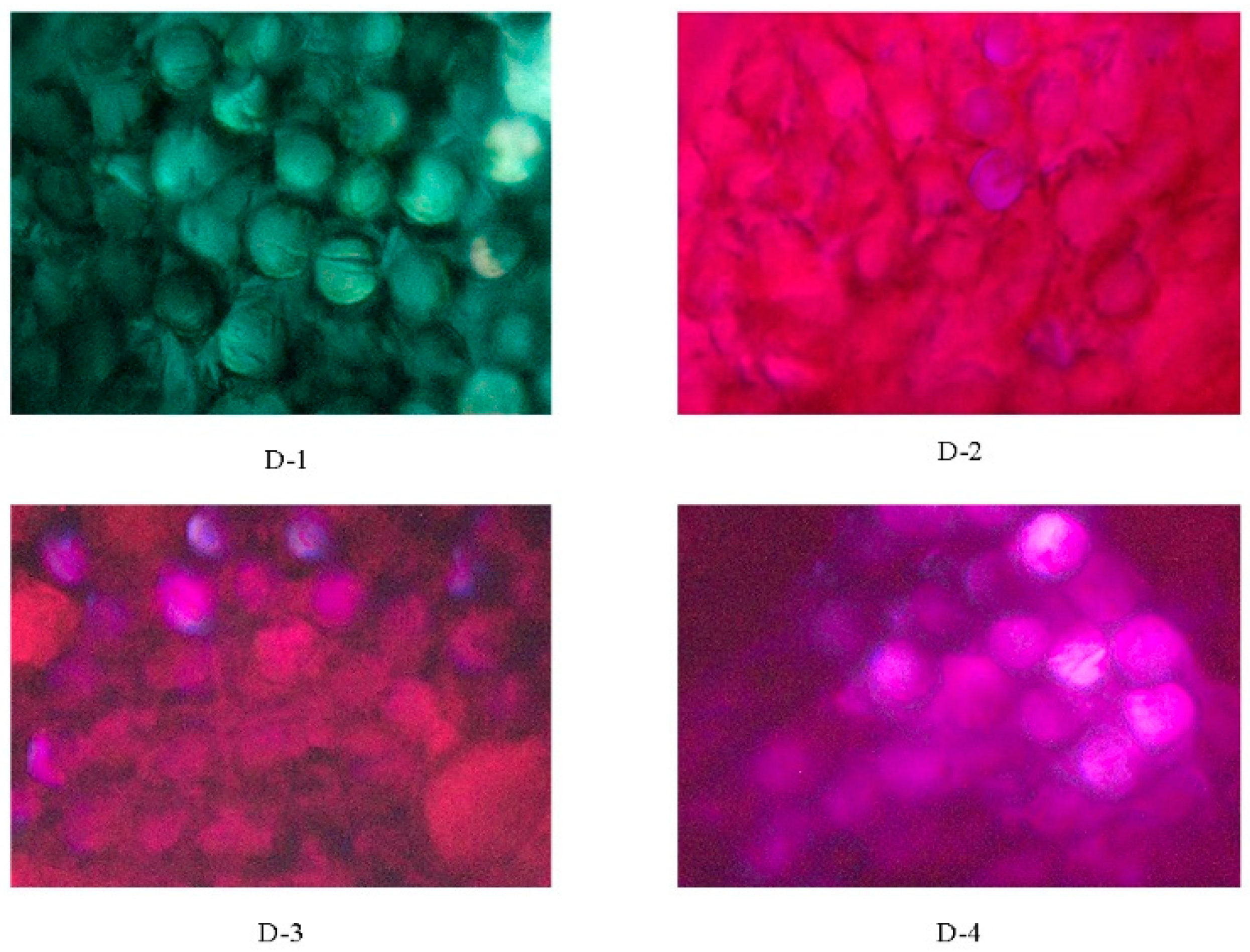 A Feasible Method Applied to One-Bath Process of Wool/Acrylic Blended ...