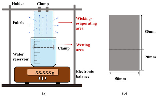 Effect of Weaving Structures on the Water Wicking–Evaporating Behavior ...
