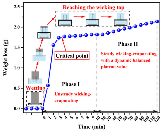 Effect of Weaving Structures on the Water Wicking–Evaporating Behavior ...