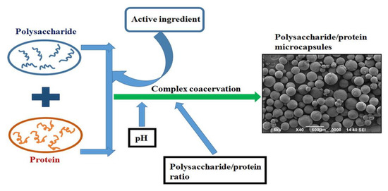 Protein–Polysaccharide Composite Materials: Fabrication and Applications