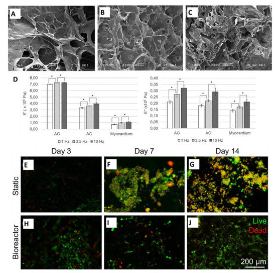 Protein–Polysaccharide Composite Materials: Fabrication and Applications