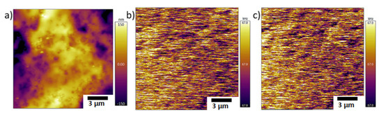 Microscopic Techniques for the Analysis of Micro and Nanostructures of ...