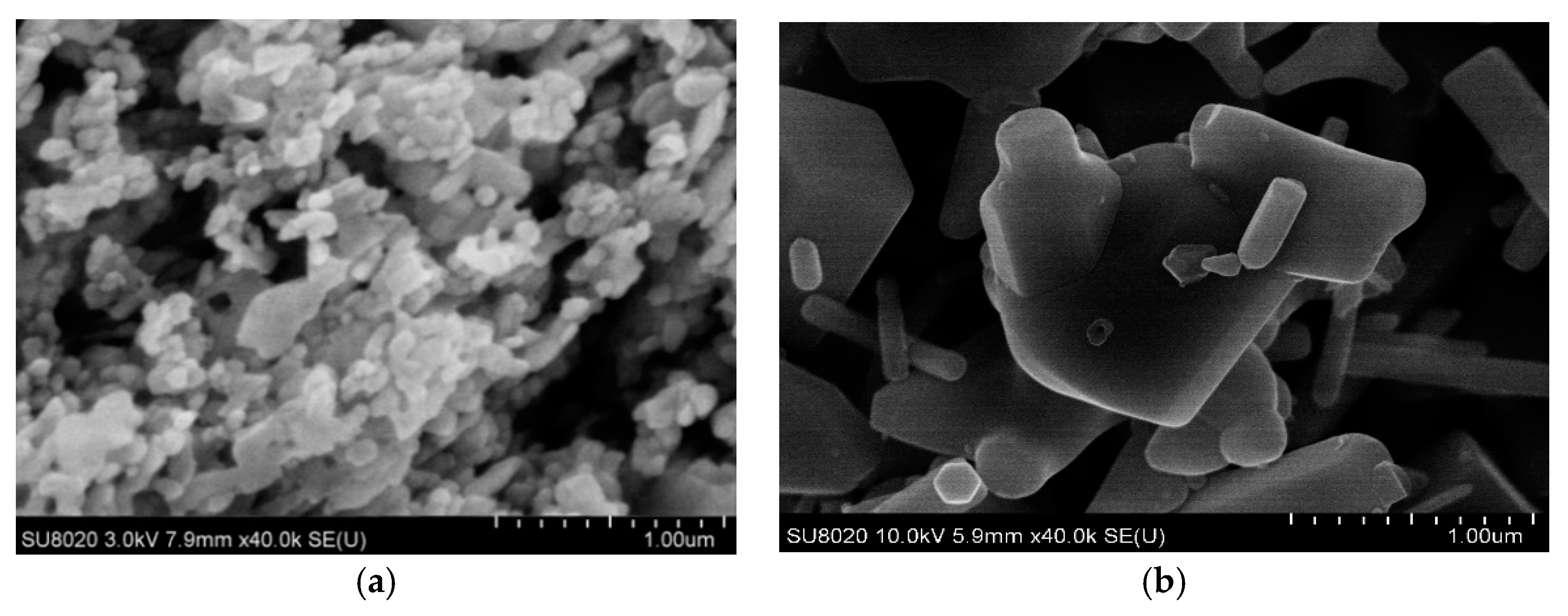 The Research of Interface Microdomain and Corona-Resistance ...