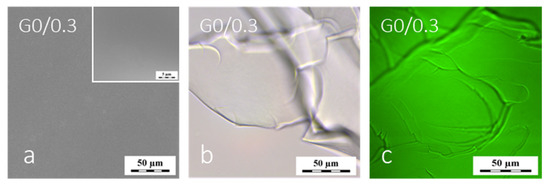 Microscopic Structure of Swollen Hydrogels by Scanning Electron and ...