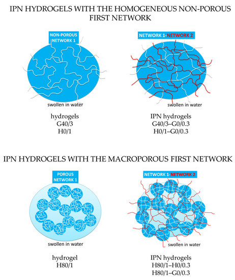 Microscopic Structure of Swollen Hydrogels by Scanning Electron and Light Microscopies ...