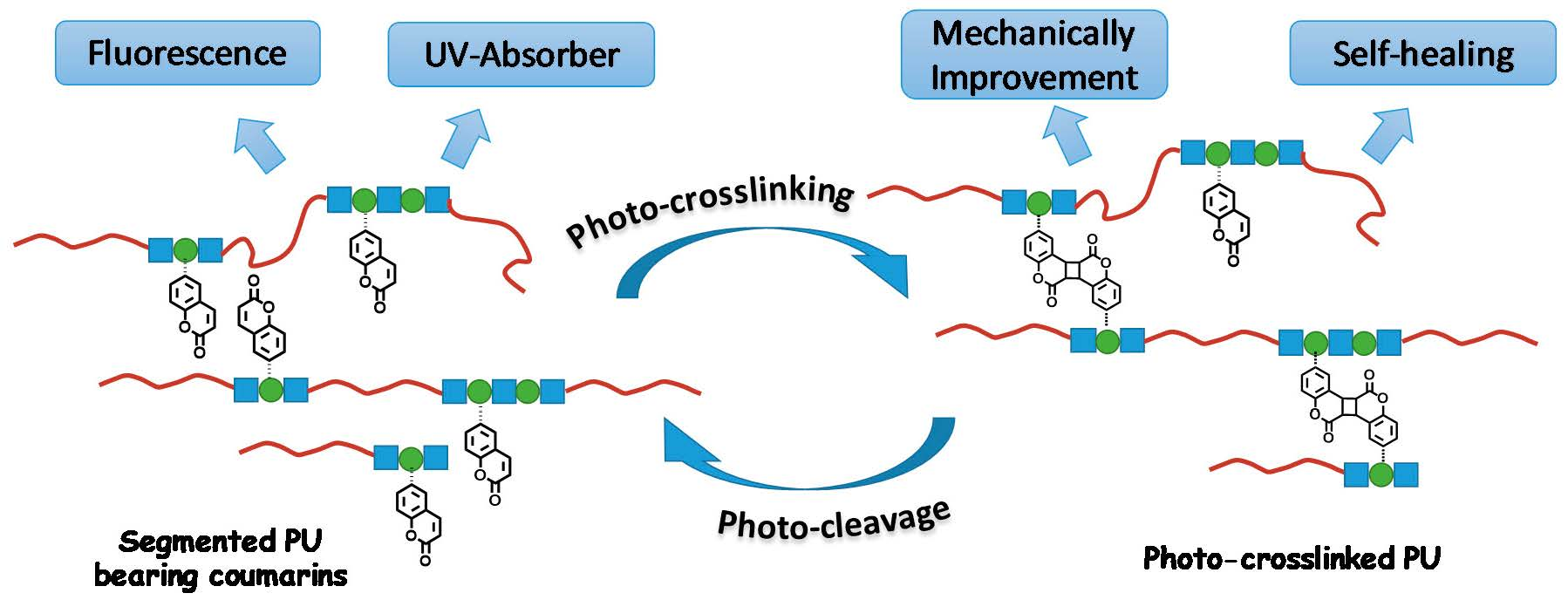 Polymers | Free Full-Text | Coumarins into Polyurethanes for Smart and ...