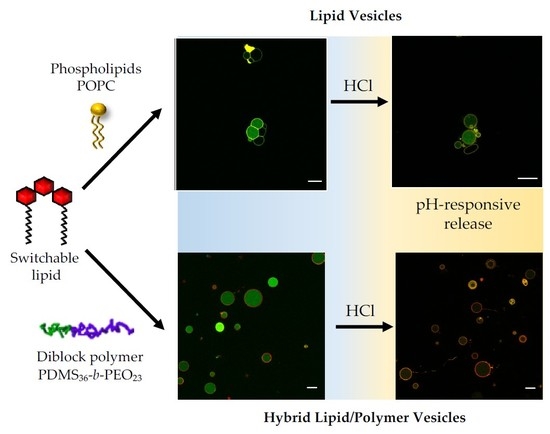 Polymers | Special Issue : Hybrid Polymer/Lipid Membranes and Thin Films