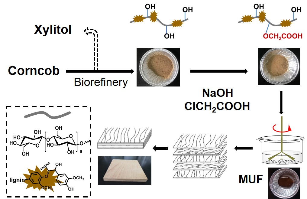 Polymers | Free Full-Text | Structures, Properties and Potential ...