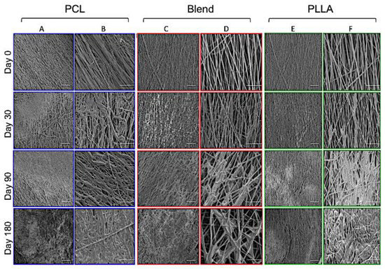 Material Characterization of PCL:PLLA Electrospun Fibers Following Six ...