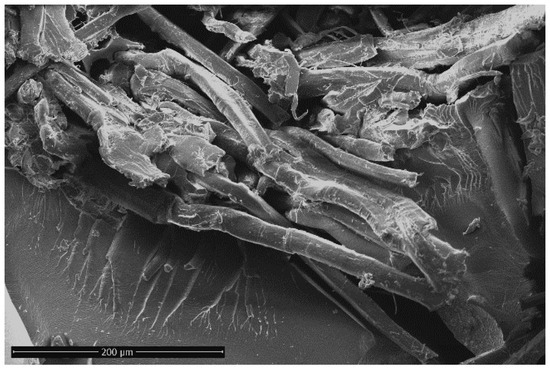 Polymers | Special Issue : Advances in Braided Polymer Composites
