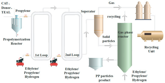 Versatile Polypropylene Copolymers from a Pilot-Scale Spheripol II Process