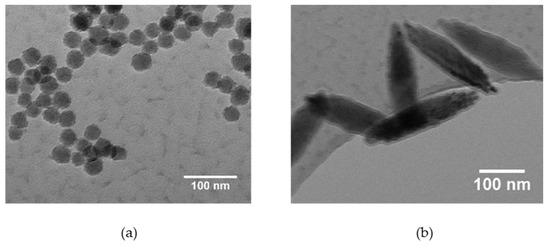 Creation of a PDMS Polymer Brush on SiO2-Based Nanoparticles by Surface ...