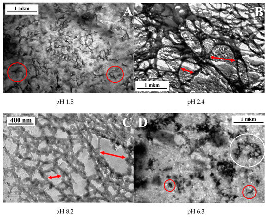 pH-Dependent Gelation of a Stiff Anionic Polysaccharide in the Presence ...