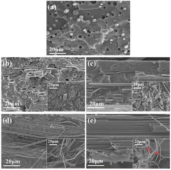 The Formation of a Highly Oriented Structure and Improvement of ...