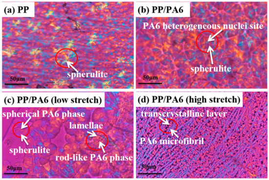 The Formation of a Highly Oriented Structure and Improvement of ...