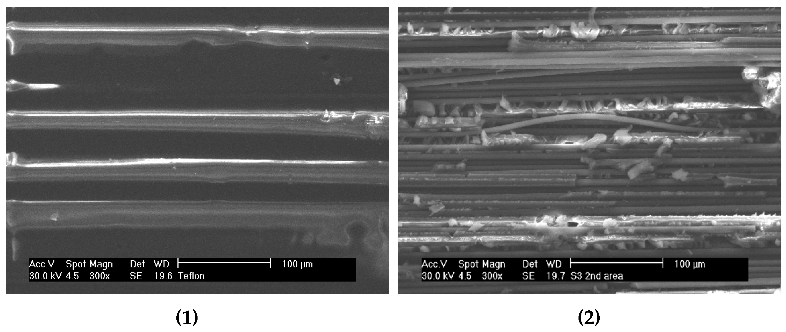 Effects of Starter Defect on Energy Release Rate of Three-Point End ...
