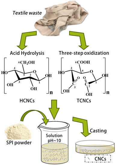 Cellulose Nanocrystals Derived from Textile Waste through Acid ...
