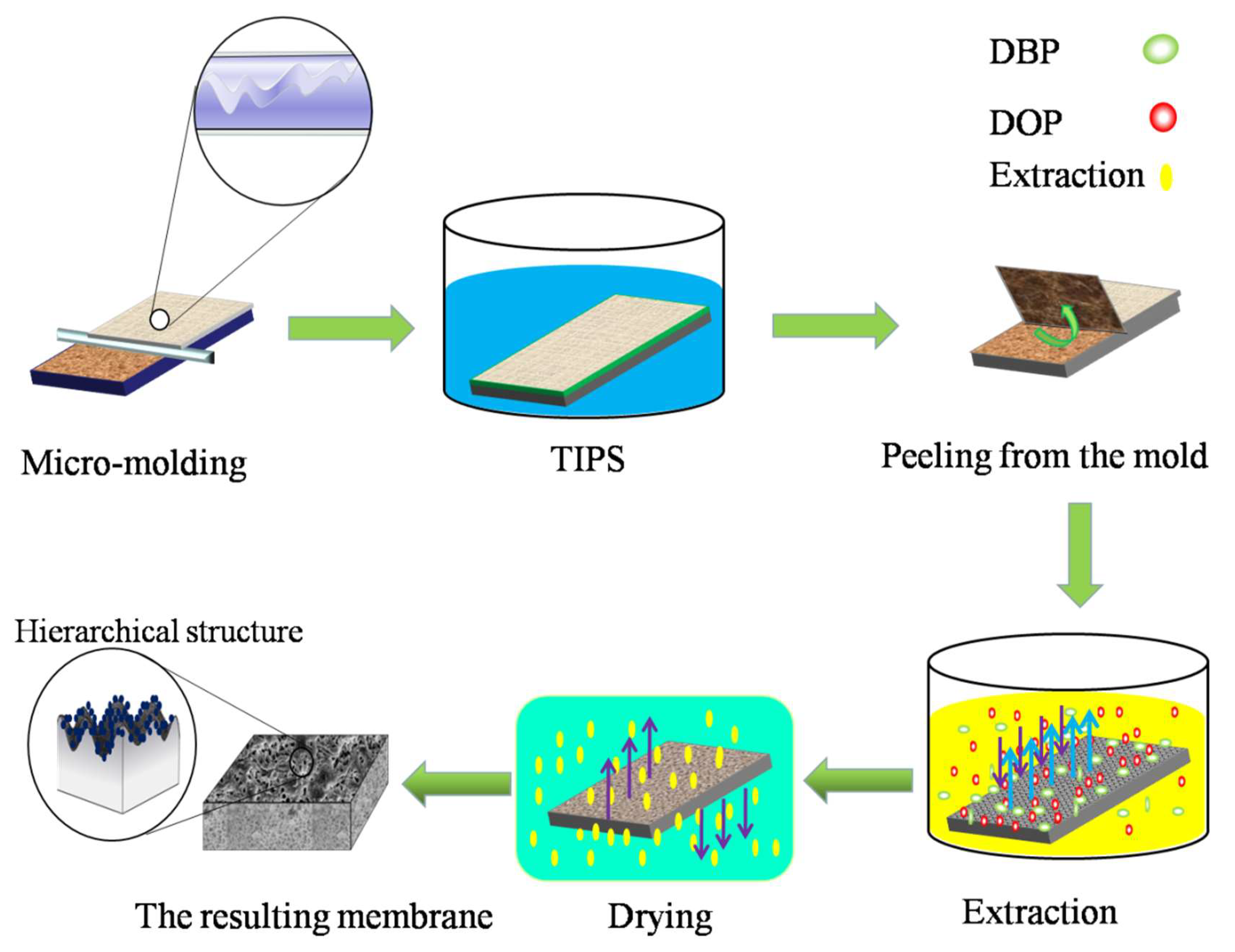 Facile Preparation of a Superhydrophobic iPP Microporous Membrane with ...