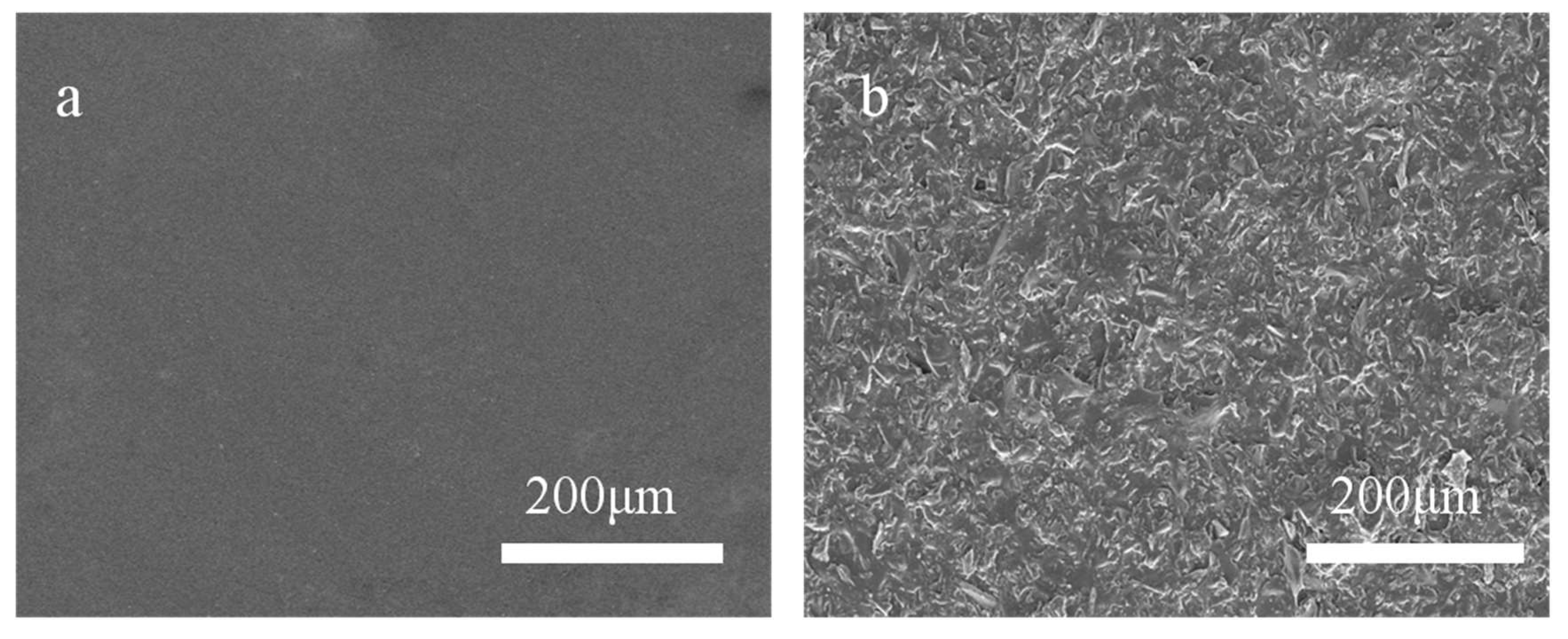 Facile Preparation of a Superhydrophobic iPP Microporous Membrane with ...