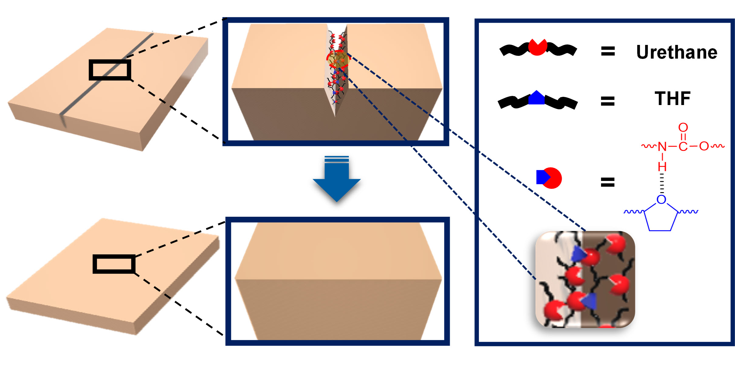 Polymers | Free Full-Text | A Heterocyclic Polyurethane with Enhanced ...