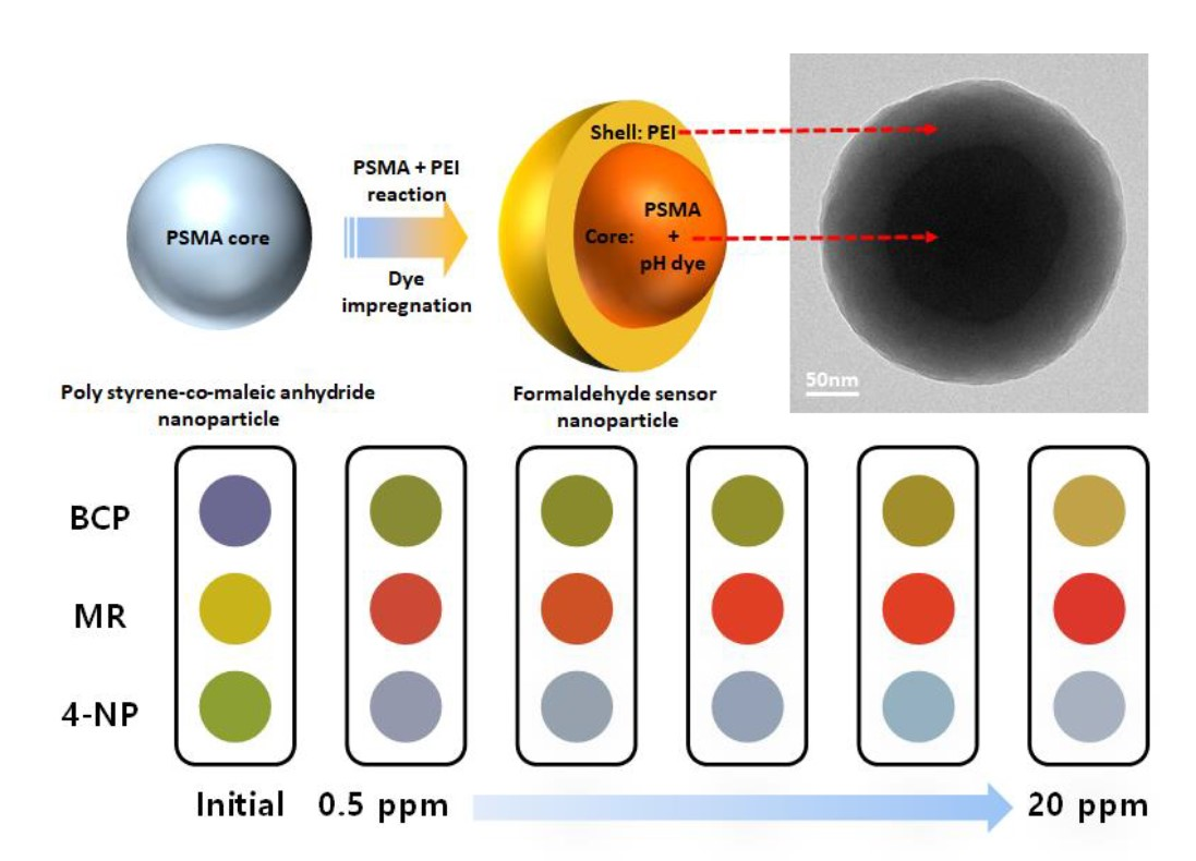 Polymers | Free Full-Text | Colorimetric Visualization Using Polymeric Core–Shell Nanoparticles ...