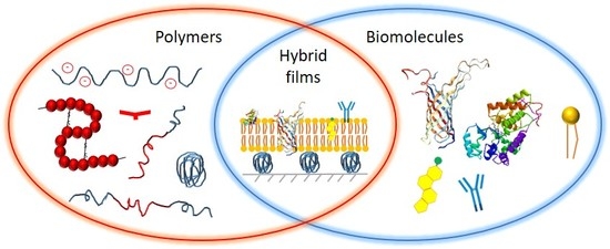 Polymers | Special Issue : Hybrid Polymer/Lipid Membranes and Thin Films