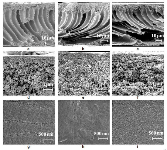 One-Step Preparation of Antifouling Polysulfone Ultrafiltration ...