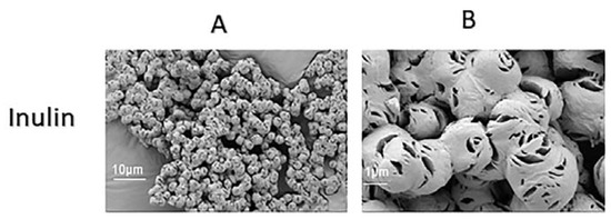 Influence of Oxidation Degree on the Physicochemical Properties of ...