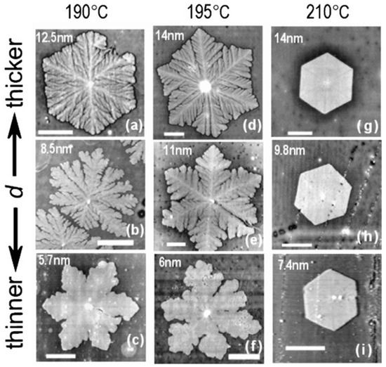 Recent Applications of Advanced Atomic Force Microscopy in Polymer ...