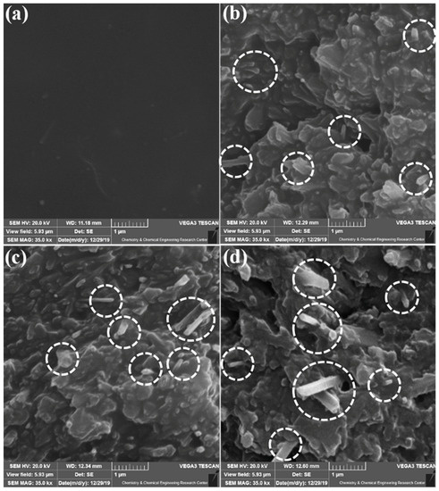 Microstructure and Mechanical Properties of Carboxylated Nitrile ...