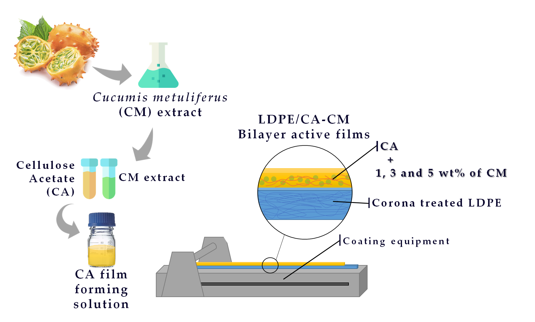 PDF ACETATE de CELLULOSE TEXTILE PDF Télécharger Download