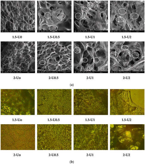 A Theoretical Multifractal Model for Assessing Urea Release from ...