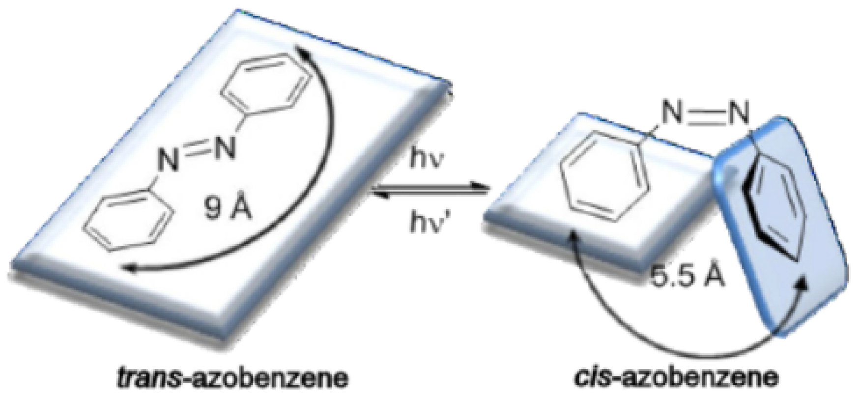 Kinematics of Photoisomerization Processes of PMMA-BDK-MR Polymer ...