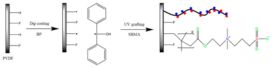 Zwitterionic Polymer Brush Grafted on Polyvinylidene Difluoride Membrane Promoting Enhanced ...