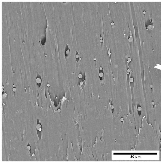 Use of Multi-Hollow Polyester Particles as Opacifying Agent for ...