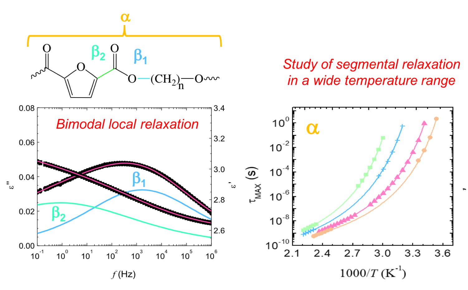 Polymers | Free Full-Text | Broadband Dielectric Spectroscopy Study of ...