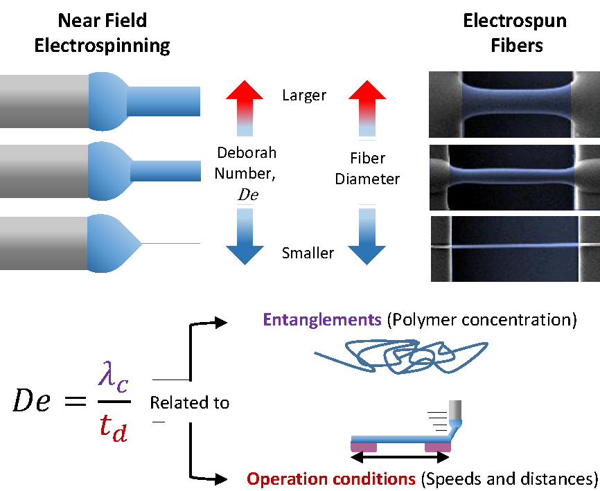 Polymers | Free Full-Text | Tailoring the Diameters of Electro ...